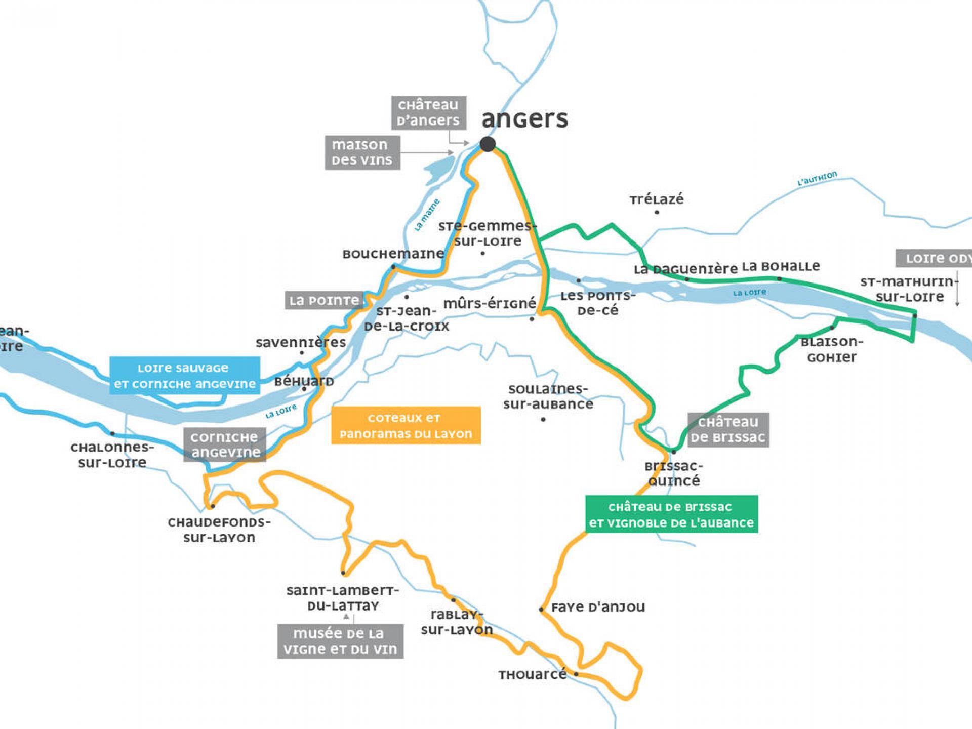 Explore the Loire Valley’s Wine Routes | Destination Angers